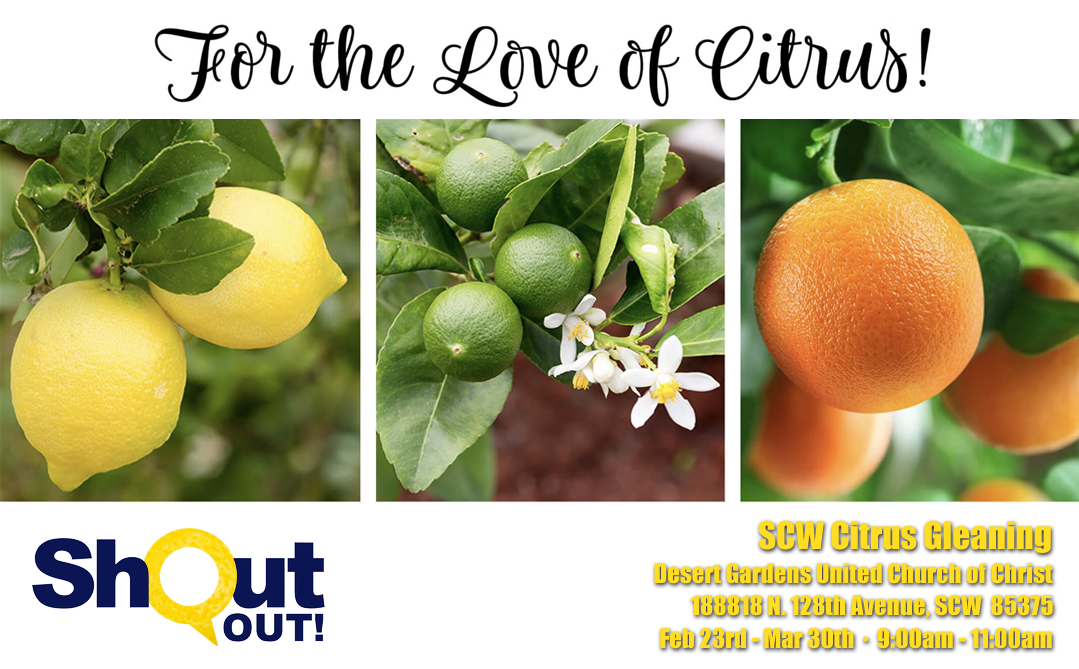 Sun City West Citrus Gleaning - The Grand LGBTQ Interest Group