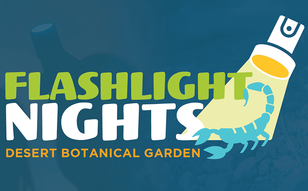 Flashlight Nights - Pride Night An Evening of CommUNITY - The Grand ...